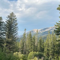 Survival Mode Isn’t Who You Are – Healing Unlayered